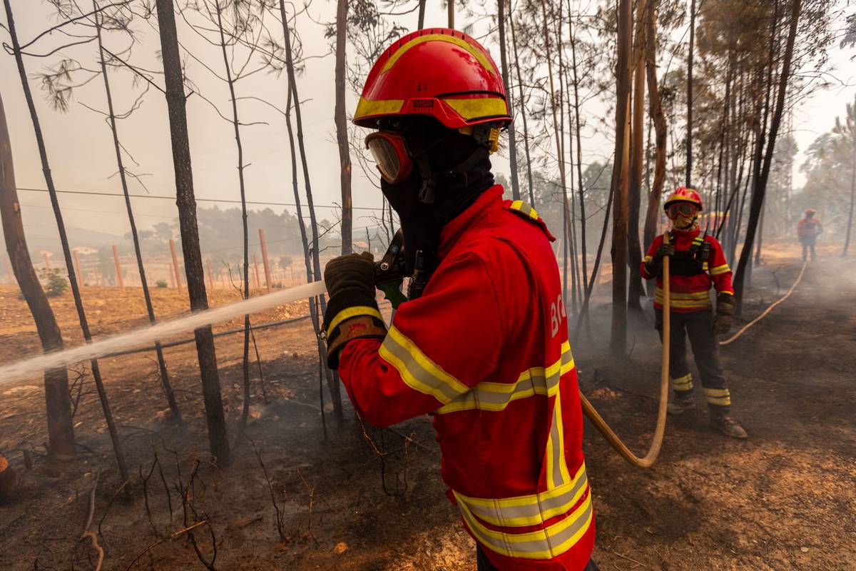 Queimada provoca incêndio em Faro, sete carros ficaram destruídos