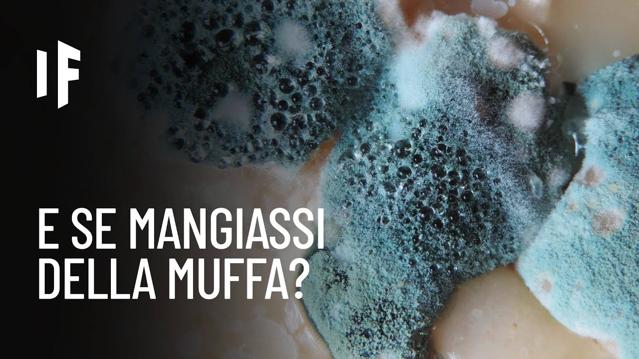 E se mangiassi della muffa?