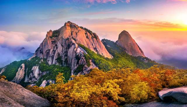 Trail cameras capture rare footage of tiny carnivore not seen in years: 'It's adorable'