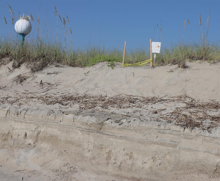 Significant beach erosion on Tybee's north end creates precarious perch ...
