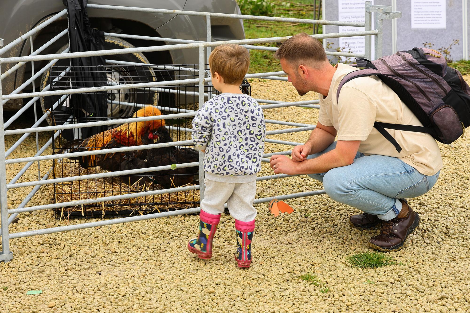 CPRE Sussex Countryside Day returns to Knepp Estate