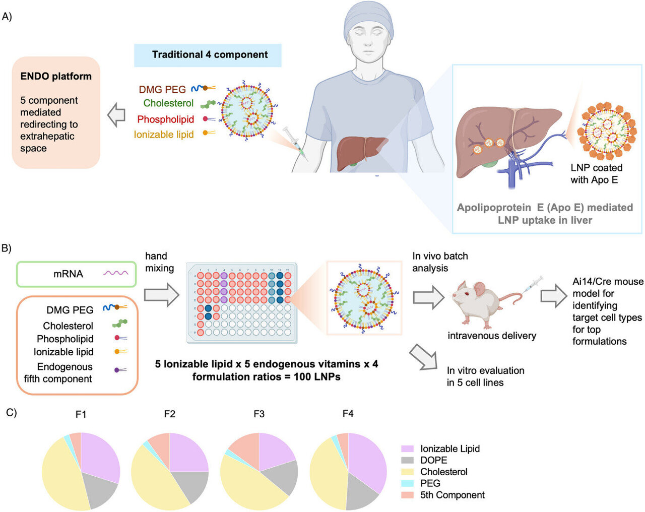 Researchers develop nanoparticles that deliver mRNA directly to the ...