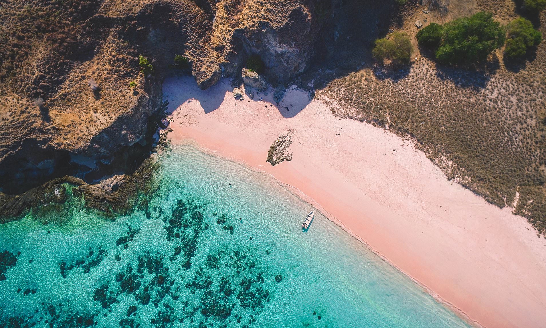 British woman, 24, dies after suffering seizure while snorkelling off ...