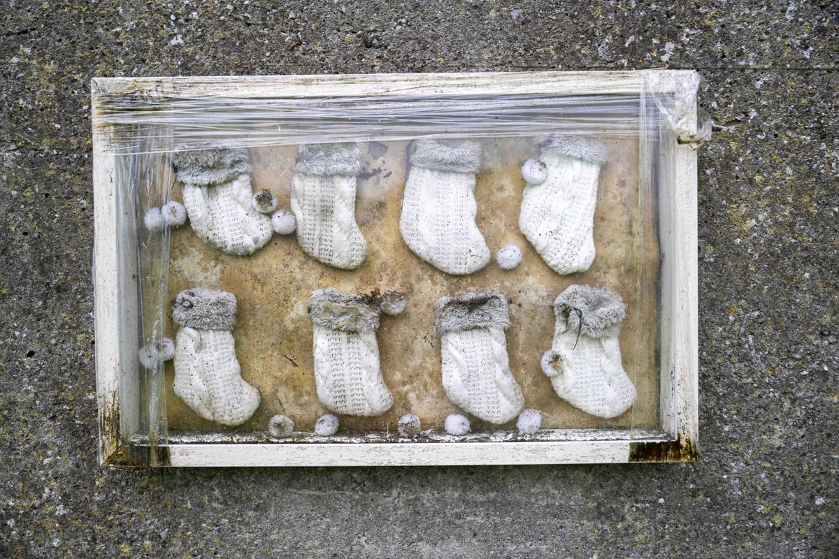 Two boys stumbled across ‘a jumble of bones’ at a derelict baby home ...