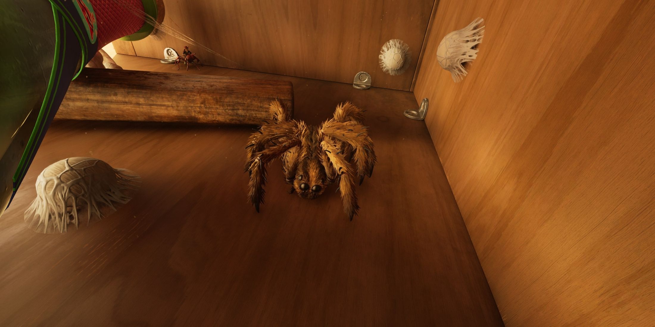 Grounded 2: Wolf Spider Locations