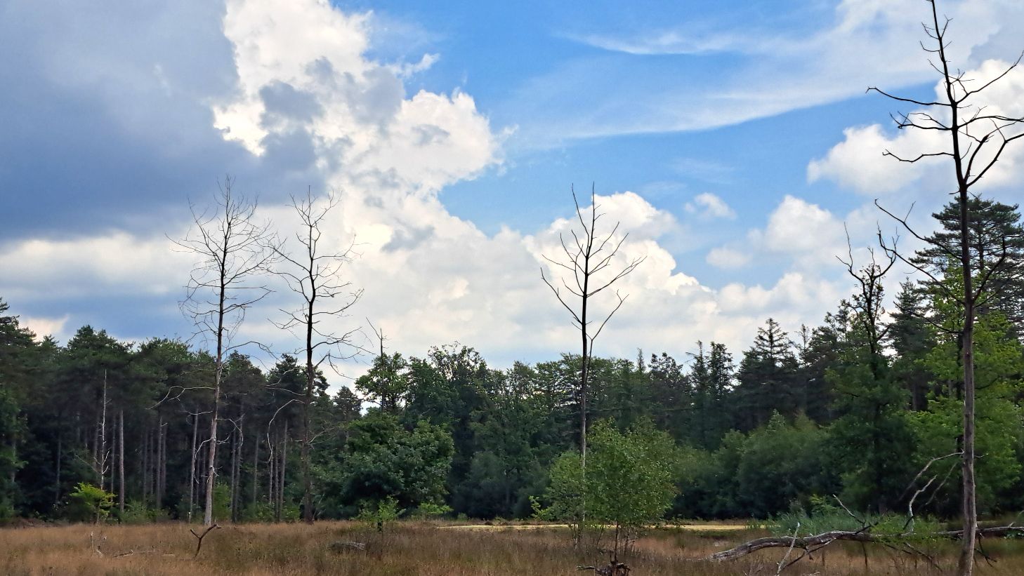 Weerman Samuel: "Is er beterschap op komst volgende week?"