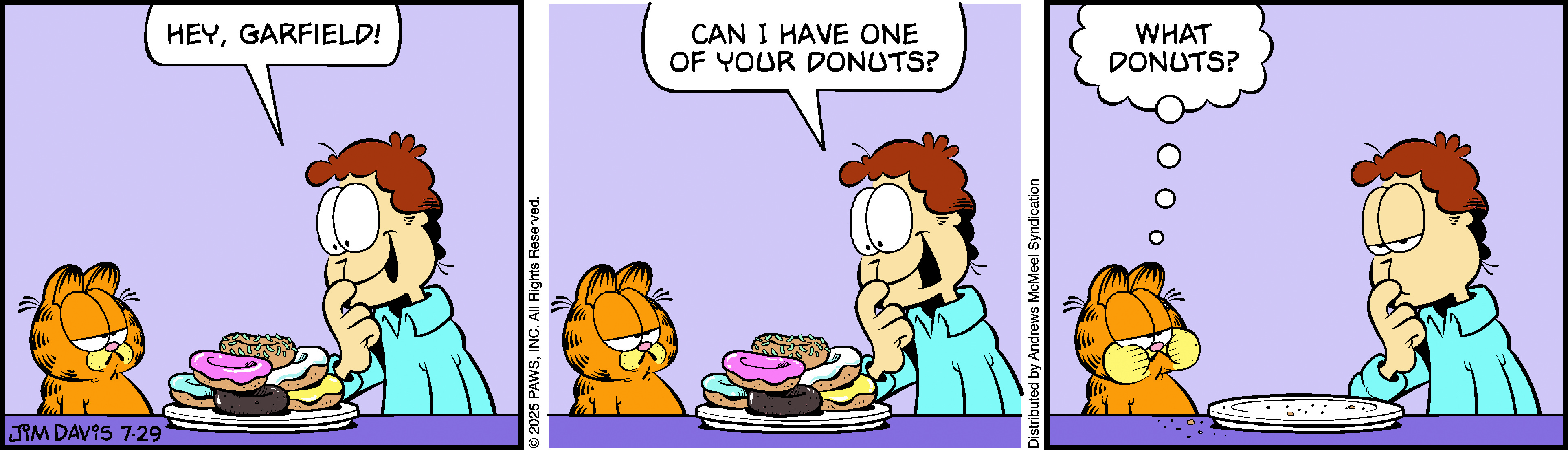 Garfield by Jim Davis