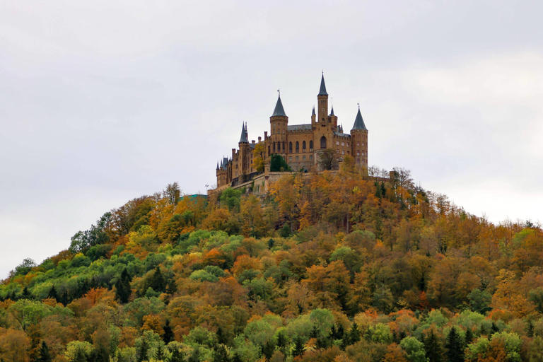 Revealed: The best and worst places in the North East for food hygiene ...