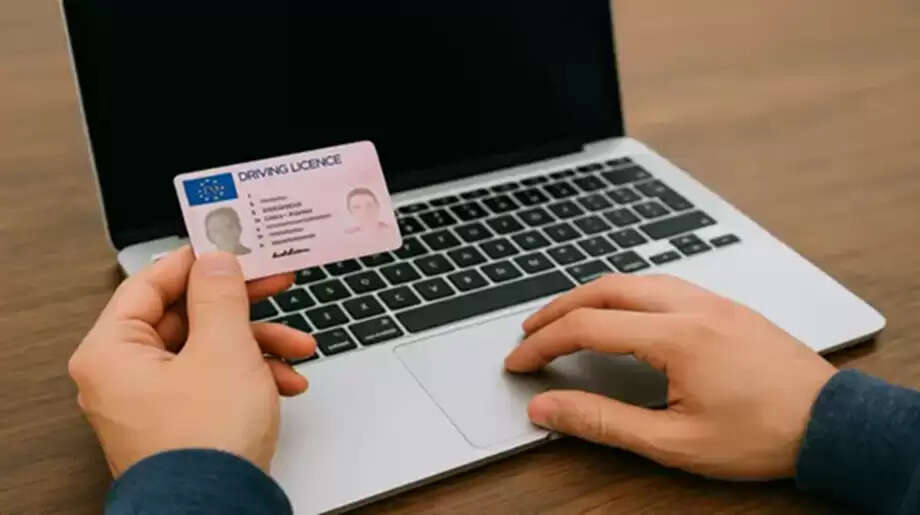DL Online: Learning driving license will be made in minutes sitting at ...