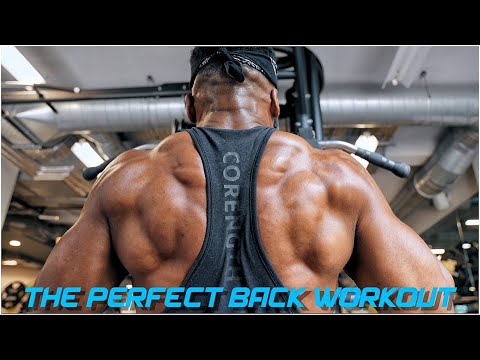 How to Build a Bigger Back - Beginner to Advanced