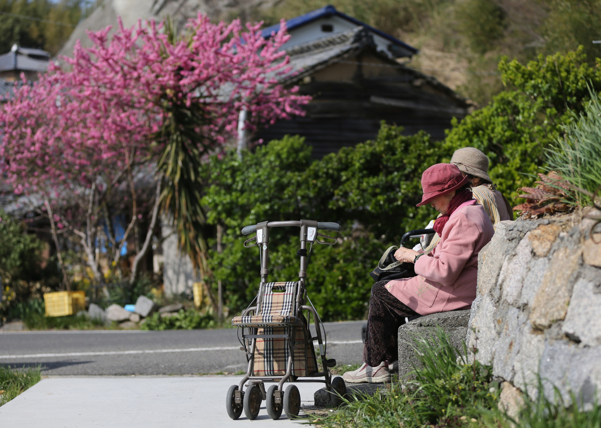 Platser med störst pensionärsbefolkning