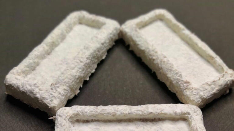IIT Madras develops eco-friendly packaging using crop and paper waste