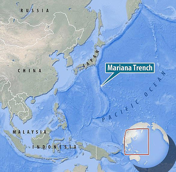 Scientists baffled to discover thousands of creatures thriving in the ...
