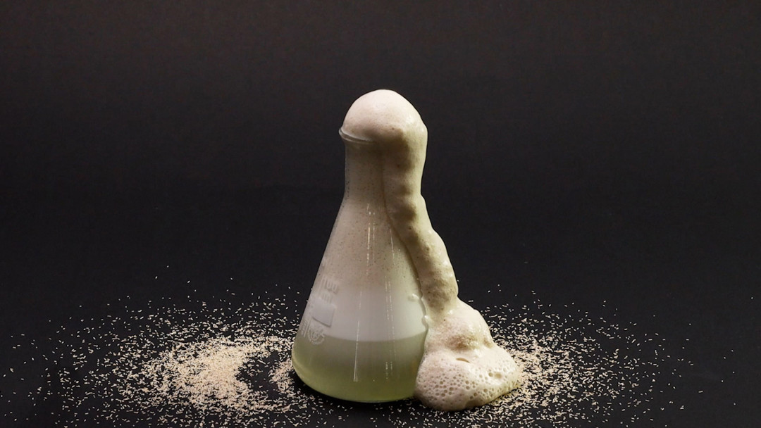 Fun Science Experiments Everyone can do