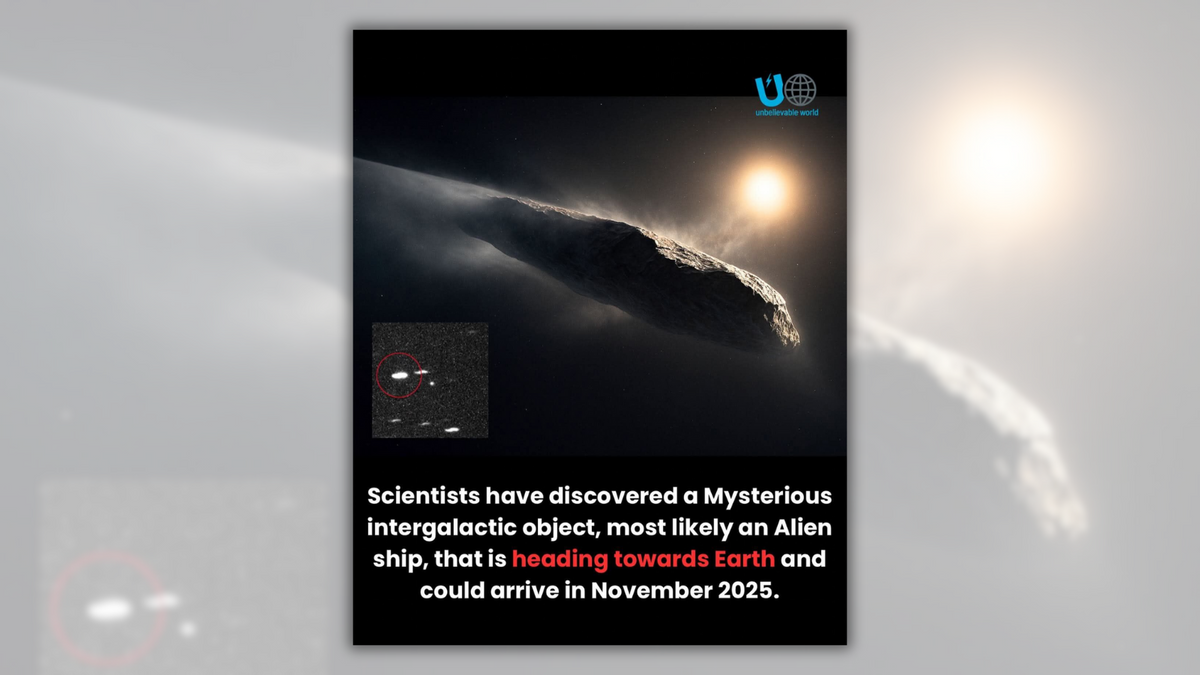Probing claim that interstellar object is 'most likely' an alien ship ...