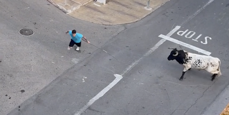Bull Chases After Civilian In Spain