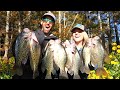 Hidden Swamp Proves Full of Massive Slab Crappie
