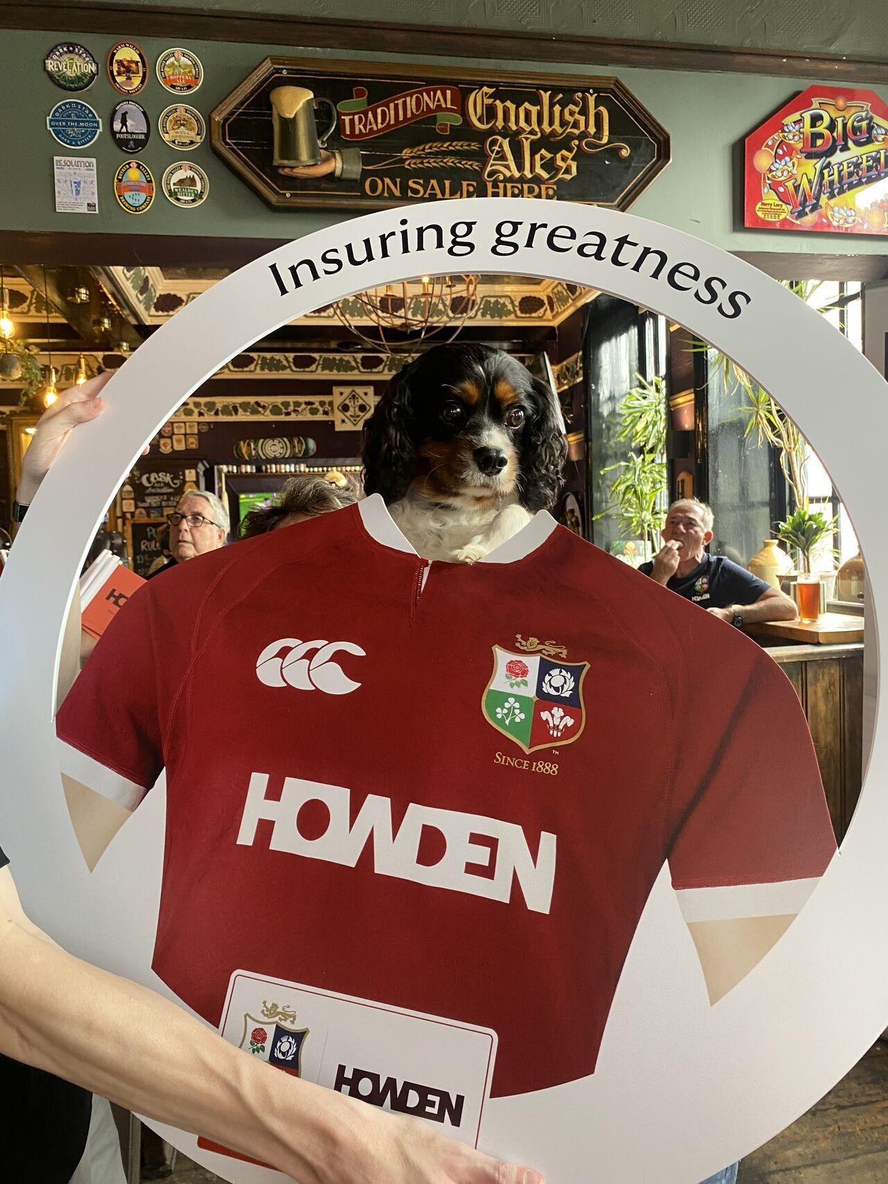 Howden Insurance brings The British & Irish Lions spirit to Eastbourne ...