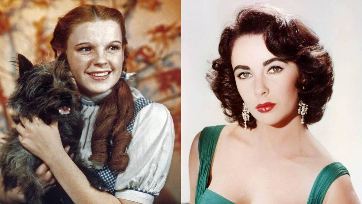 Hollywood Stars Of The Golden Age And Their Later Years
