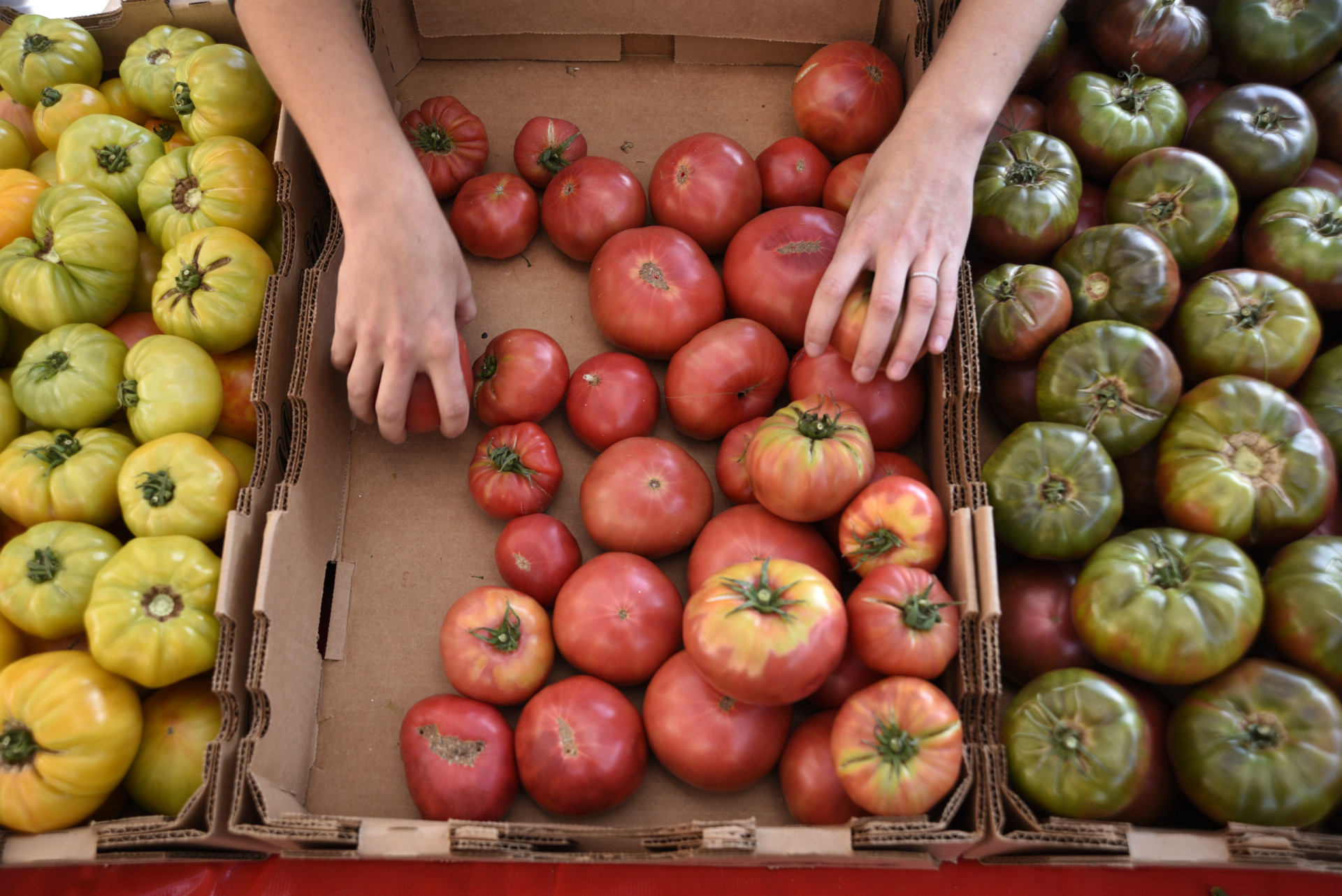 ¿Es la comida orgánica tan buena como se cree?