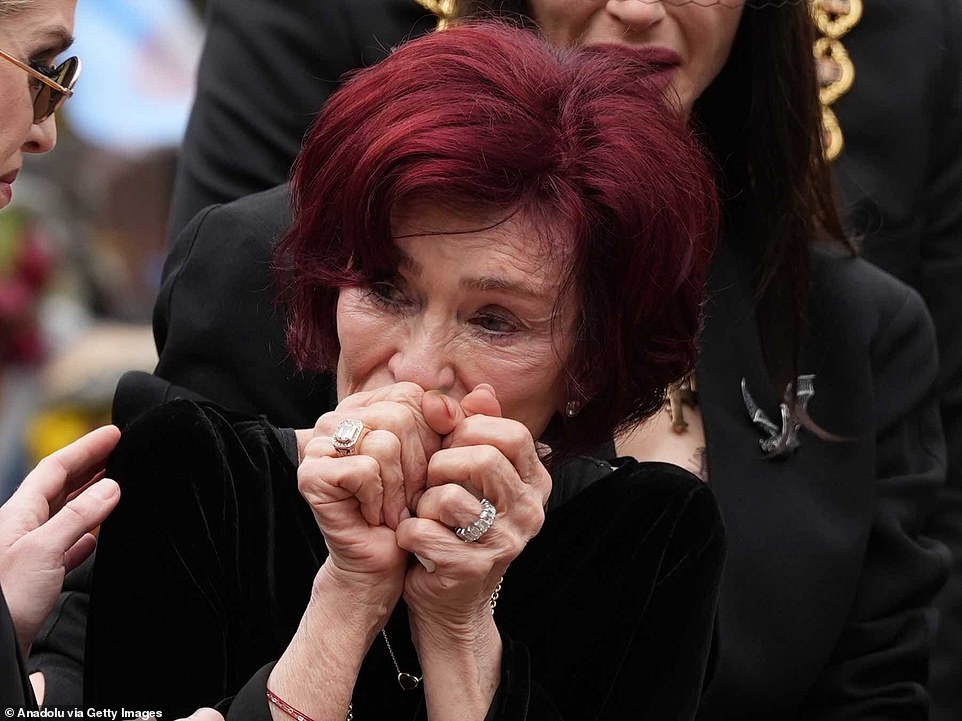 The Wire: where are the actors of this classic series now?