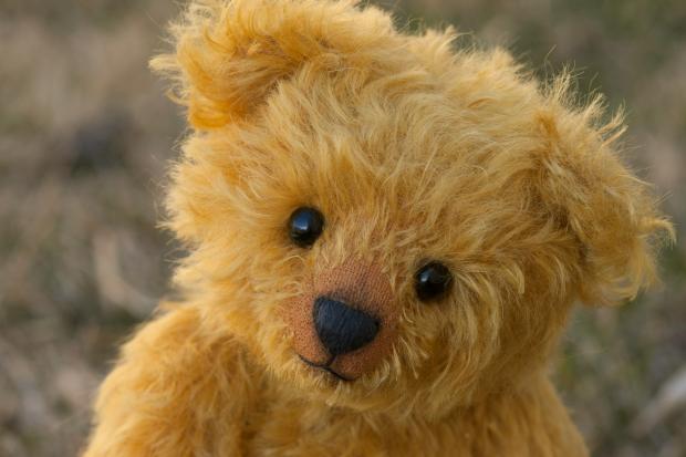 Lost property alert issued after council recovers cuddly toys