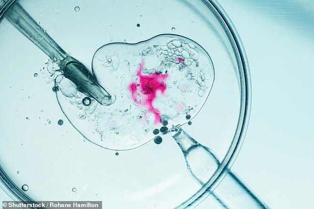 World's 'oldest baby' born from embryo frozen in 1994