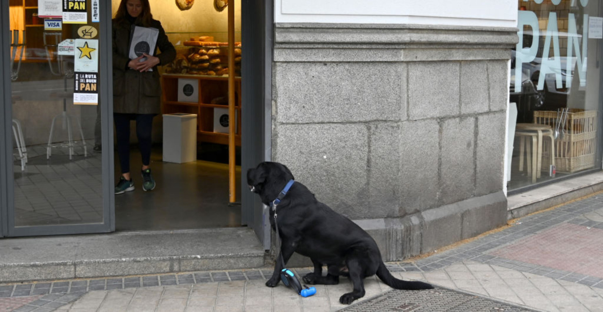 Diese Dinge, die wir Menschen tun, können Hunde so gar nicht ausstehen