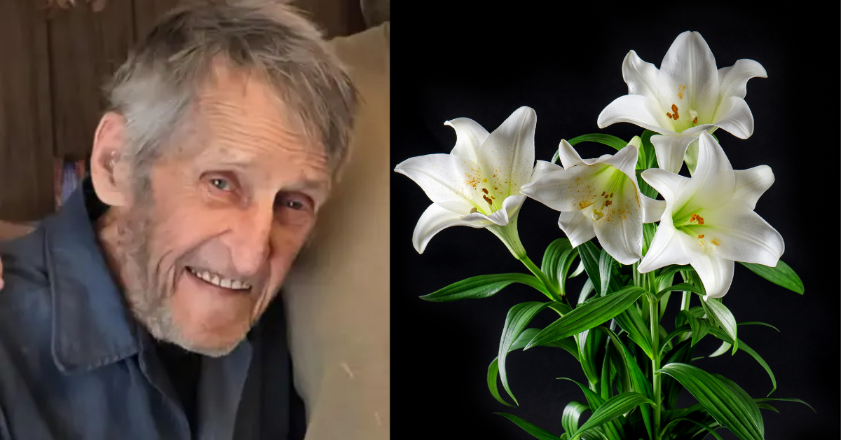 Jack Rowe, 91, of Whitewater – Obituary