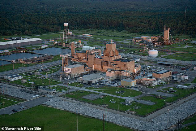 Chaos erupts after radioactive wasps go missing from former US nuclear ...