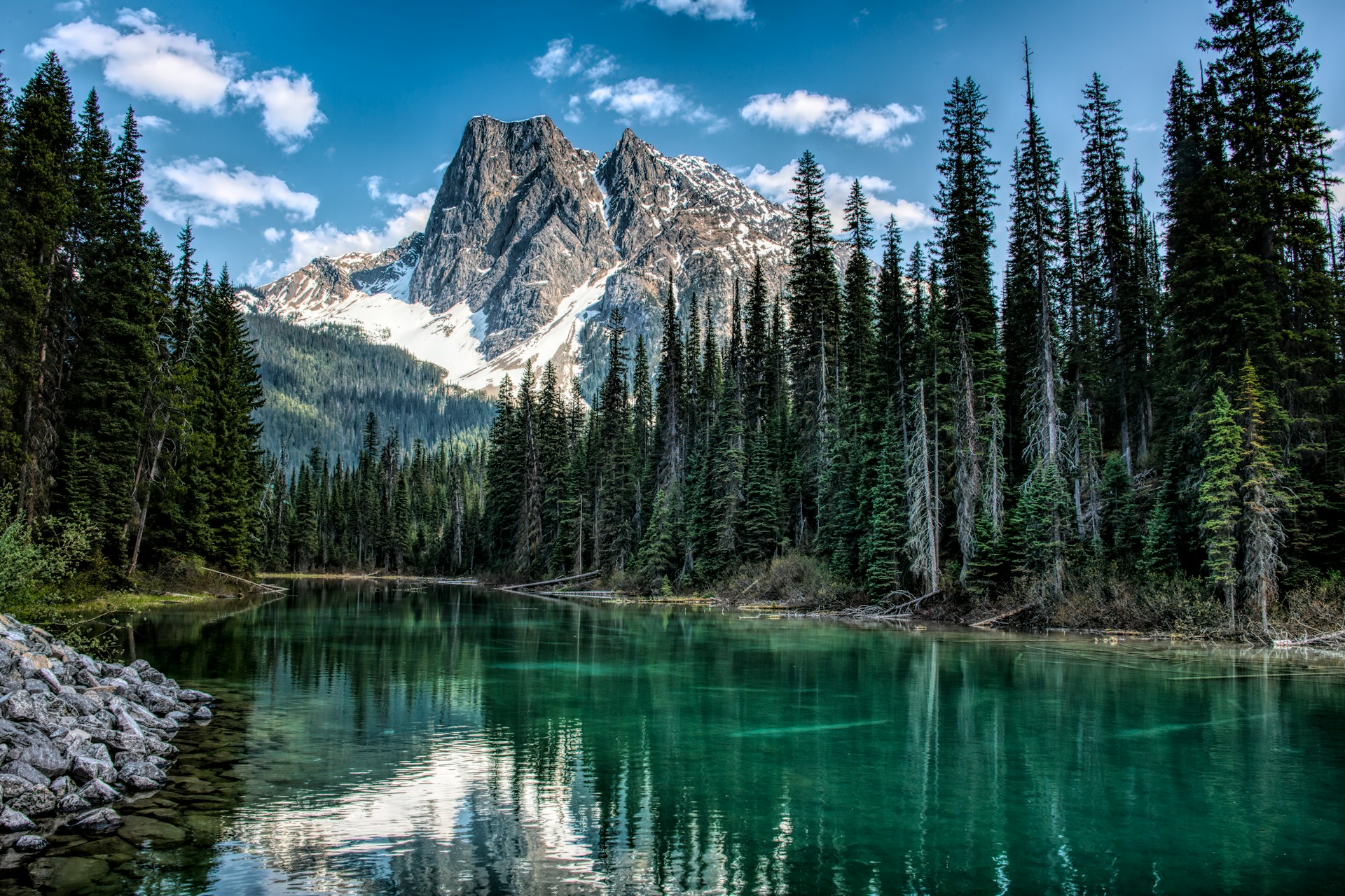 The Best Provinces for Foodies: Canada’s Top Culinary Destinations