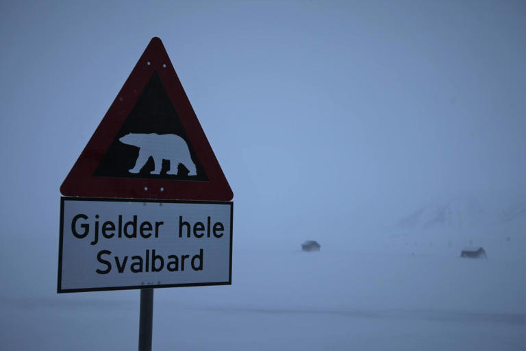 Inflation bleibt stabil bei 2,0 Prozent – doch eine Sache wird immer teurer