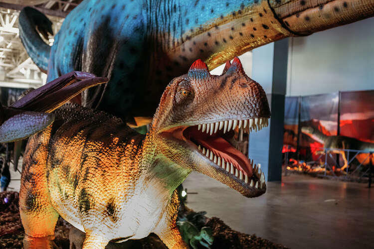 Top things to do in Houston this weekend, from Shakespeare Festival to ...