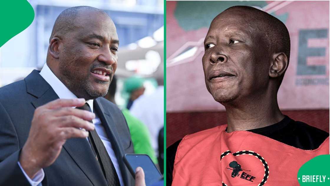 What Gayton McKenzie said in response to Julius Malema's threats to sue him