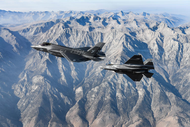 Stealth fighter jet pilot forced to eject as $100M aircraft crashes in ...