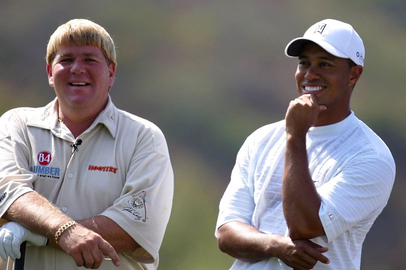 Golfer beat Tiger Woods while still drunk - 'He shook his head the ...