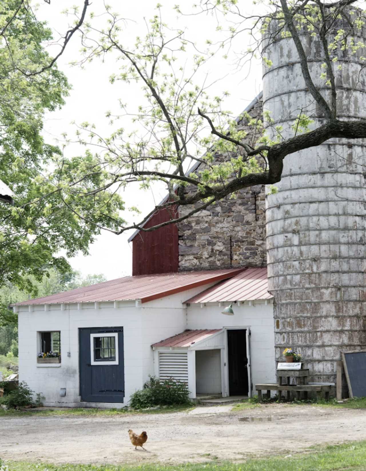 Samuel Beiler Charged With Sex Abuse Of 6 Girls At Farm