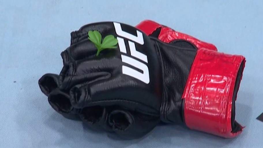 UFC legend officially removed from active roster