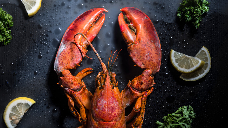 10 Mistakes To Avoid When Buying Fresh Lobster