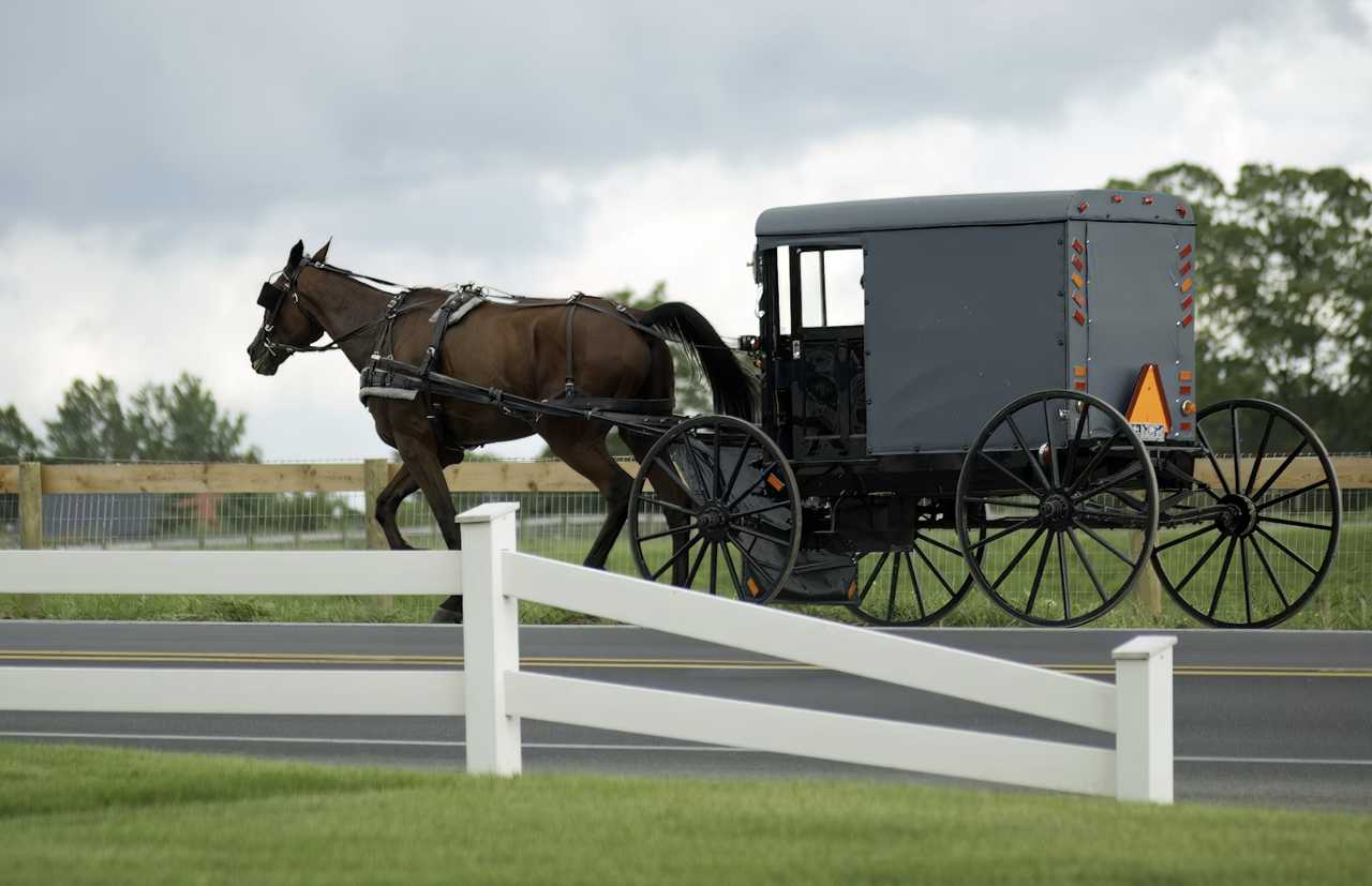 Amish buggy driver injured in tractor-trailer crash