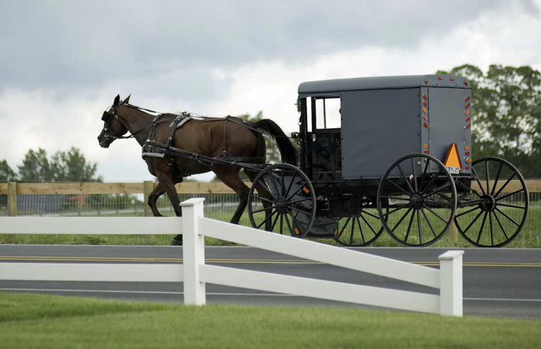 Reyna Mondragon Reza Charged In Amish Buggy Hit-Run: PSP