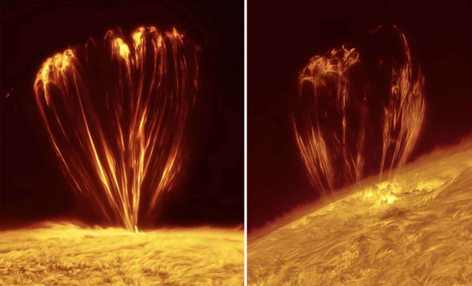 Massive Coronal Loops Captured in Rare Image—A Rare Look at the Sun’s ...