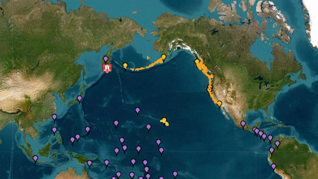 Tsunami warning tracker: Map and online tool let you follow alerts in real time after massive ...