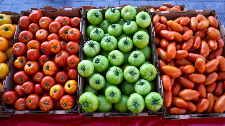The modern potato evolved from a wild tomato fling 9 million years ago ...