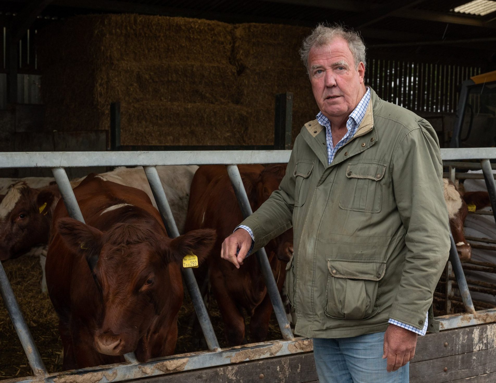 Jeremy Clarkson 'forced to cull farm's cows'