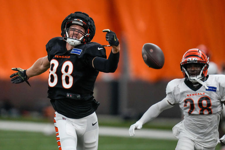 Bengals tight end Mike Gesicki injured vs Lions in NFL Week 5