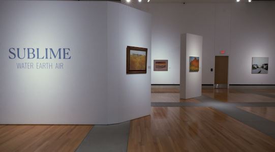 Our Town: Celebrating American Art with a Texas Twist