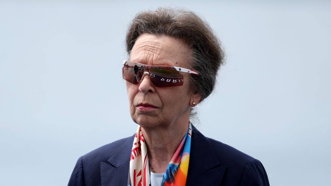 Did Princess Anne just wear her signature snazzy accessory again? Yes ...