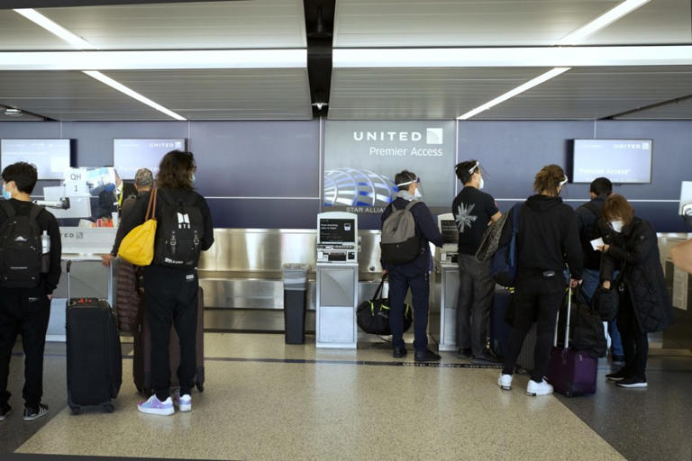 United Economy vs. Basic Economy: Find Out Which Saves You More Money Now