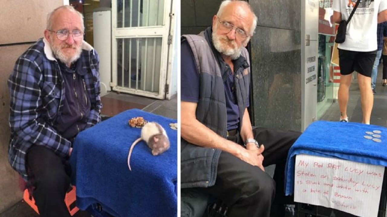 Homeless Man Asks People For Help After His Beloved Pet Rat Gets Stolen